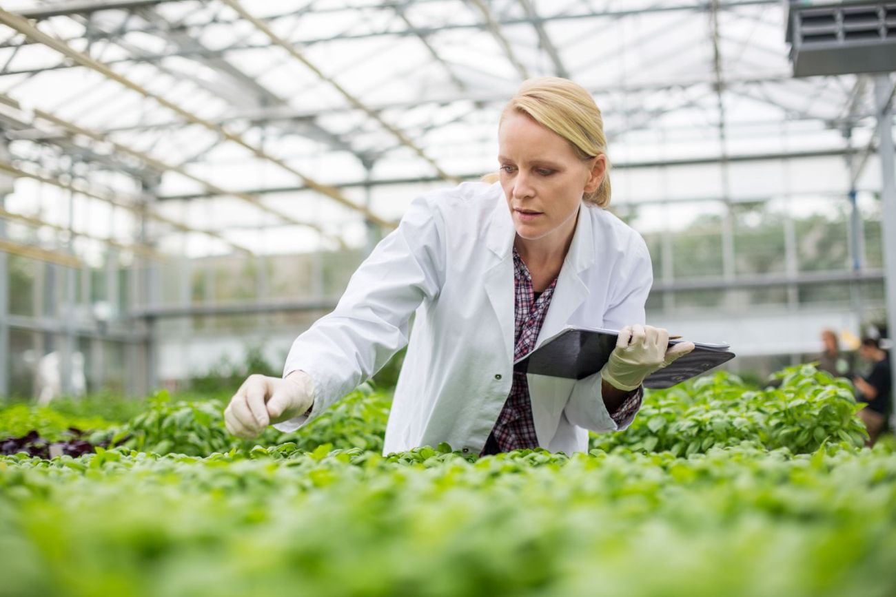 BMEL-Statistik: Studium in der Landwirtschaft BMEL-Statistik: Studium in der Landwirtschaft